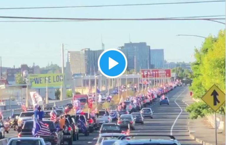 maga-caravan – CITIZEN FREE PRESS