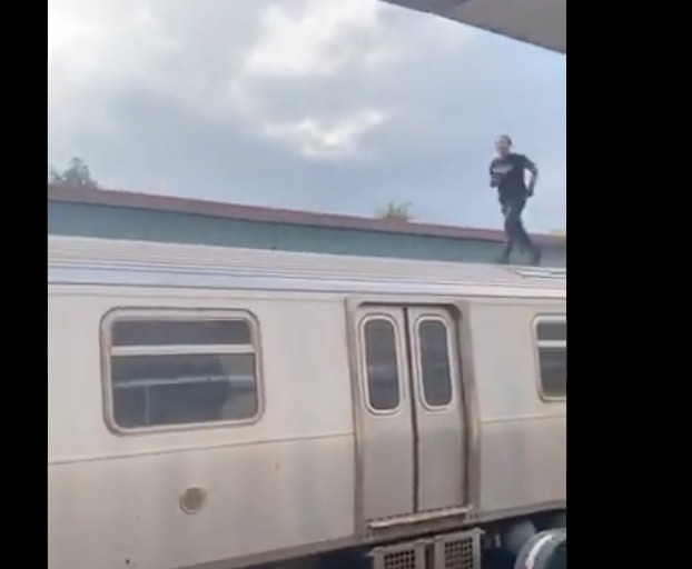 Nycman Citizen Free Press