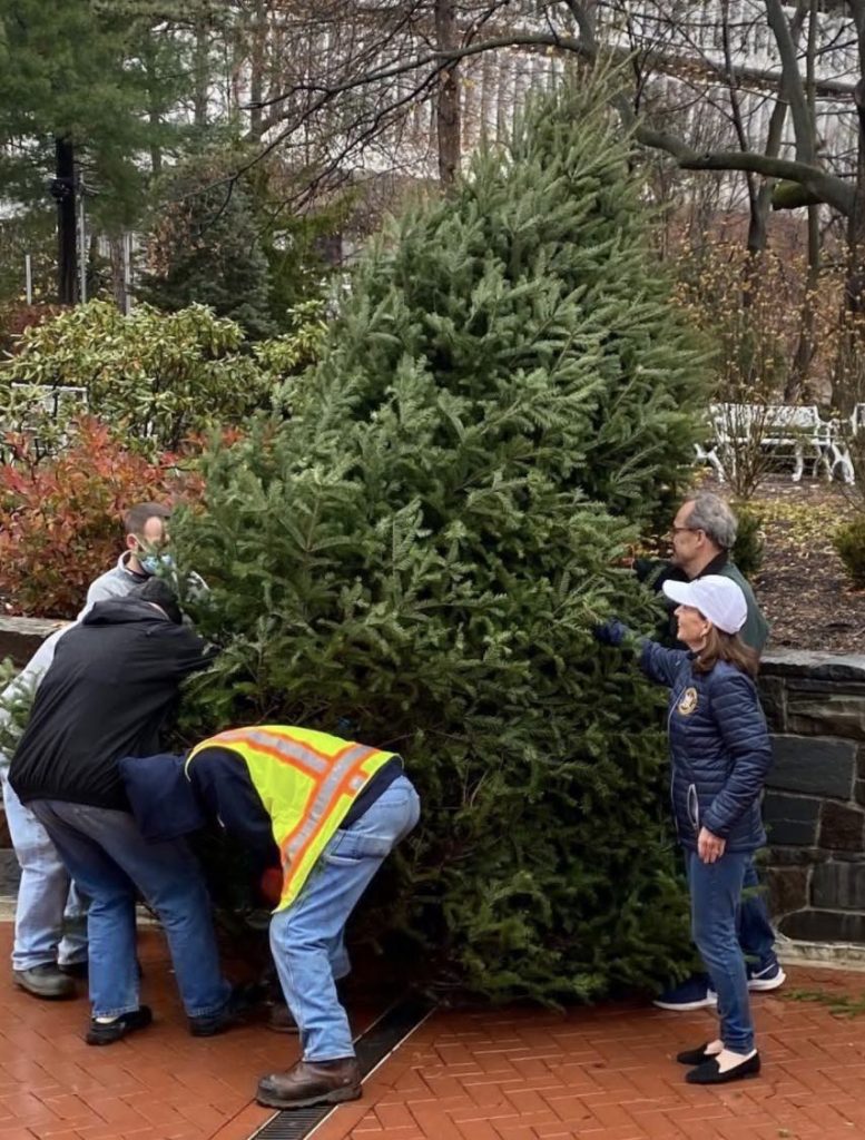 tree – CITIZEN FREE PRESS