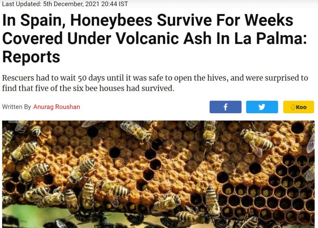 bees – CITIZEN FREE PRESS