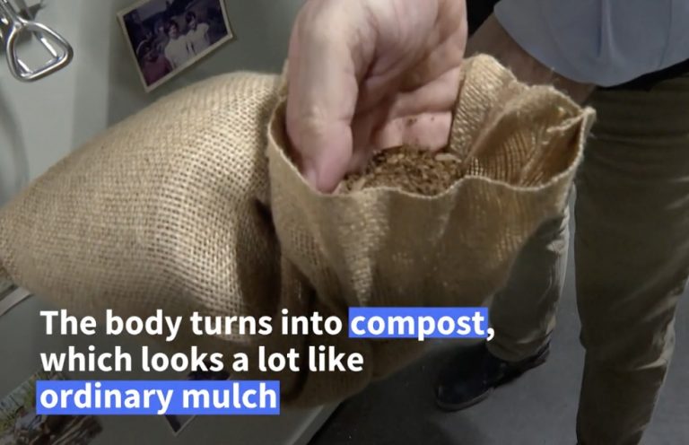 Body-composting – CITIZEN FREE PRESS