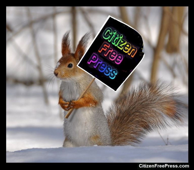 cfp-meme-squirrel – CITIZEN FREE PRESS