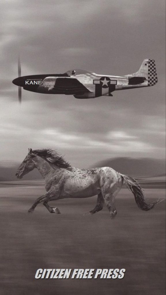 cfp-meme-kane-horse-3 – CITIZEN FREE PRESS