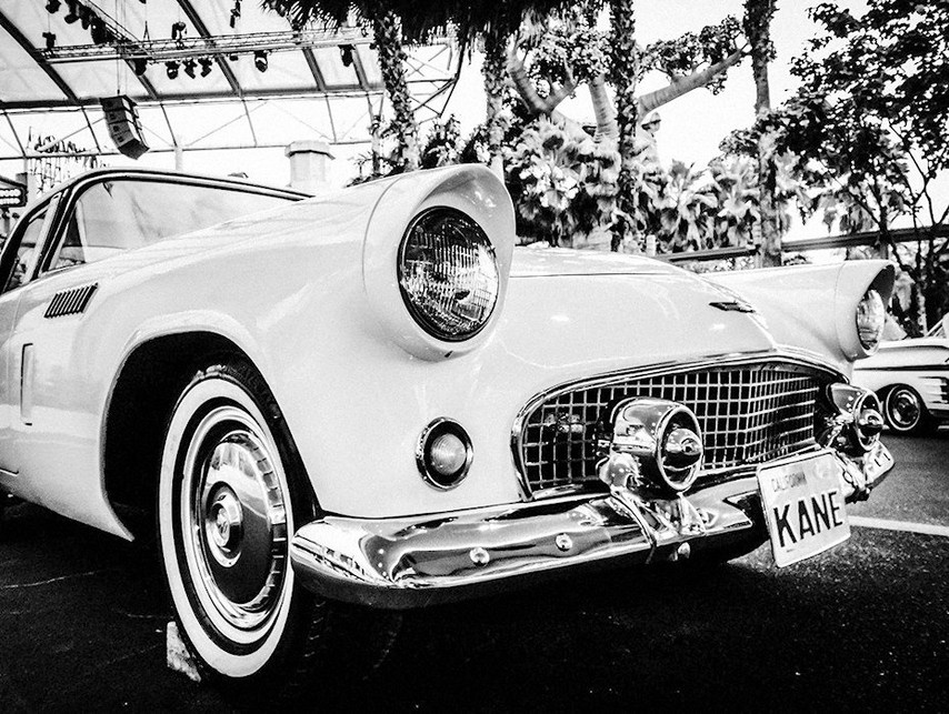 cfp-kanemobile – CITIZEN FREE PRESS